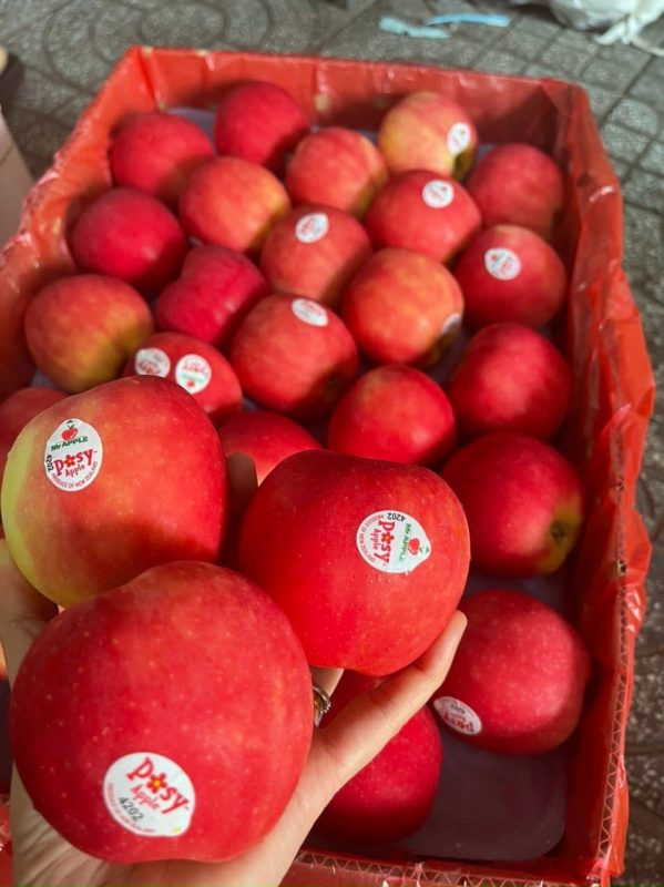 Táo Posy Có Ngon Không? Có Giá Bao Nhiêu Tiền